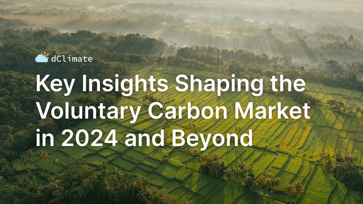 Data ReFined #46: Key Insights Shaping the Voluntary Carbon Market in ...