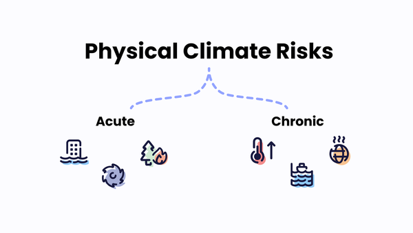 Managing Corporate Climate Risk: The Importance of Physical Climate ...