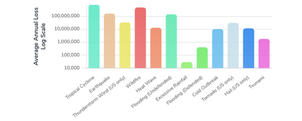 Case Study: Climate Risk Assessment for Retail